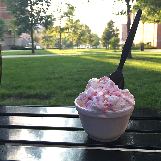 A perfect scoop of strawberry bliss against the campus greenery&mdash;nature's backdrop for nature's perfect dessert.
