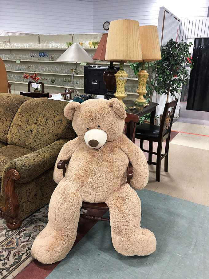 This gentle giant of a teddy bear silently judges your furniture choices while waiting for someone to take him home.