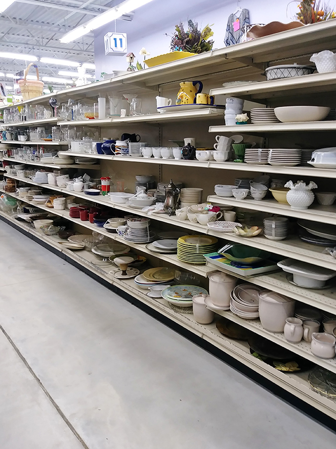 Dishes, teacups, and serving pieces line the shelves like a ceramic timeline of American dining history, just waiting to join your mismatched collection.
