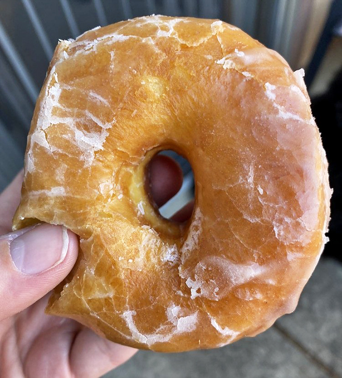 The glazed donut in its natural habitat &ndash; halfway to someone's mouth. That crackling sugar shell gives way to pillowy perfection underneath.
