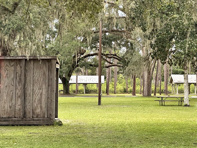 The park's open spaces and rustic structures offer a glimpse into Florida's past. No theme park could replicate this authentic serenity.