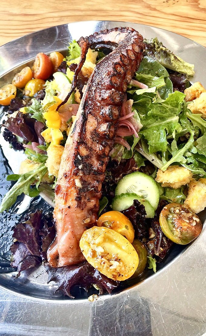 When octopus meets salad and both win – charred tentacle lounging atop fresh greens like it's auditioning for a Michelin star.