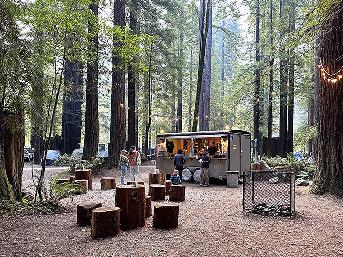 Camping among giants &ndash; where s'mores taste better and ghost stories seem more plausible beneath towering redwood sentinels.