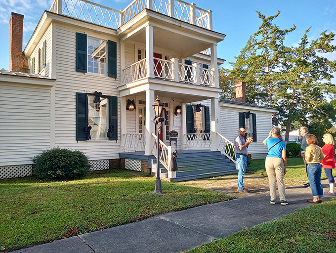 Harmony Hall stands as elegant proof that history doesn't have to be boring or behind velvet ropes.