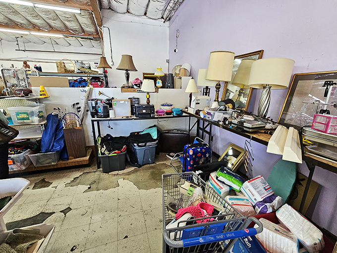 A treasure trove of lamps, electronics, and household miscellany&mdash;where one person's "I don't need this anymore" becomes your "I've been looking everywhere for this!"