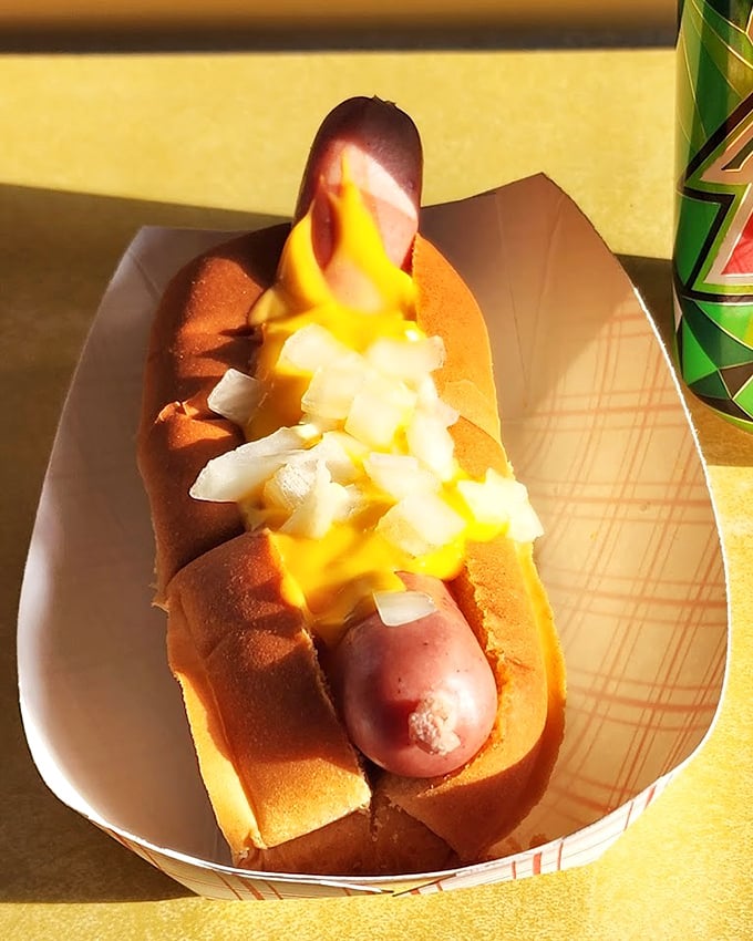 Simple pleasures, perfectly executed. This classic hot dog with mustard and onions proves that sometimes the straightforward approach wins the race.