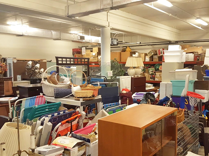 Household treasure island! That lamp you've been searching for your entire adult life? It's probably hiding somewhere in this glorious jumble.