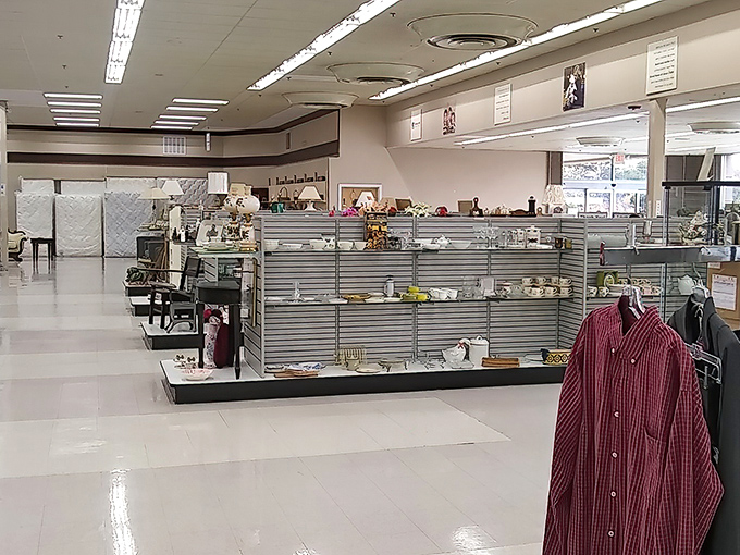 The thrifter's equivalent of the Sistine Chapel ceiling&mdash;look up, look down, look everywhere or risk missing that perfect porcelain pitcher. 