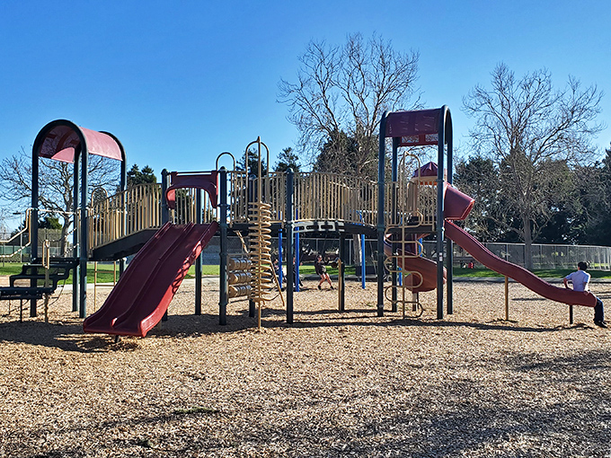 Jade Street Park's playground equipment stands ready for the universal childhood joy of sliding, climbing, and the inevitable "Watch me do this, Mom!"