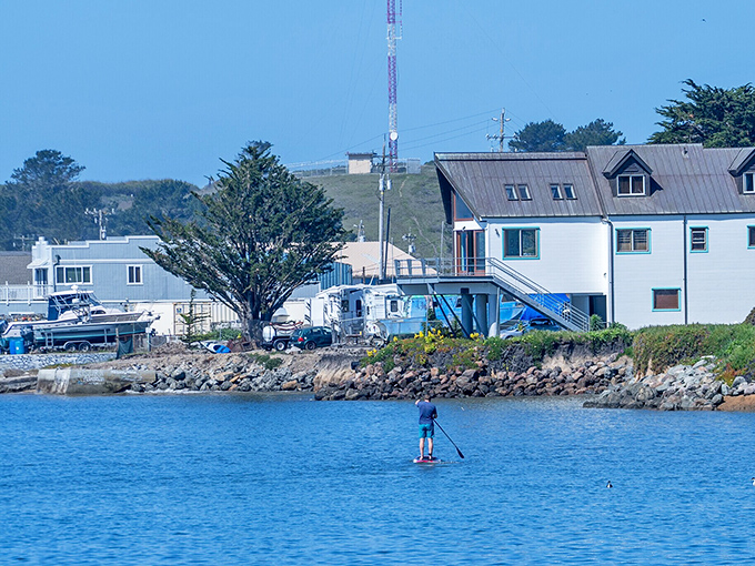 Paddleboarding in the harbor&mdash;where the water is so calm you can practically hear your thoughts echoing off the surface.