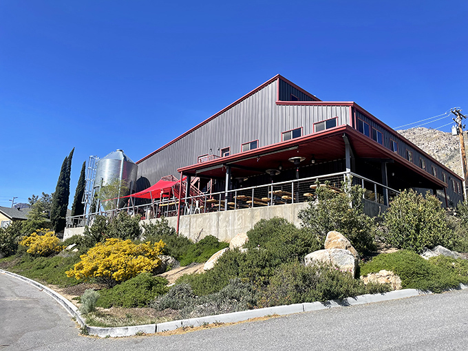 Kern River Brewing Company sits like a modern mountain lodge, where craft beer flows as freely as stories from hikers just off the trail.