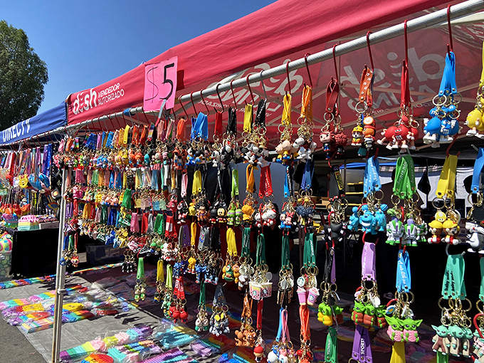 A kaleidoscope of keychains and trinkets dangles in the California sunshine, proving that sometimes the smallest treasures create the biggest smiles.