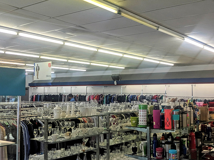 Glassware gleams under fluorescent lights while coffee mugs from forgotten corporate retreats find new purpose in this kitchenware wonderland.