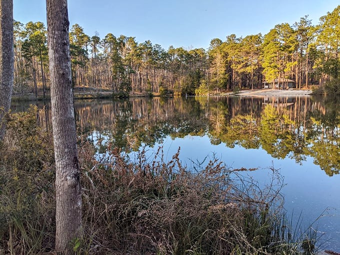 Mirror, mirror in the woods &ndash; this glassy lake reflects pine sentinels with such precision you'll wonder which way is up.
