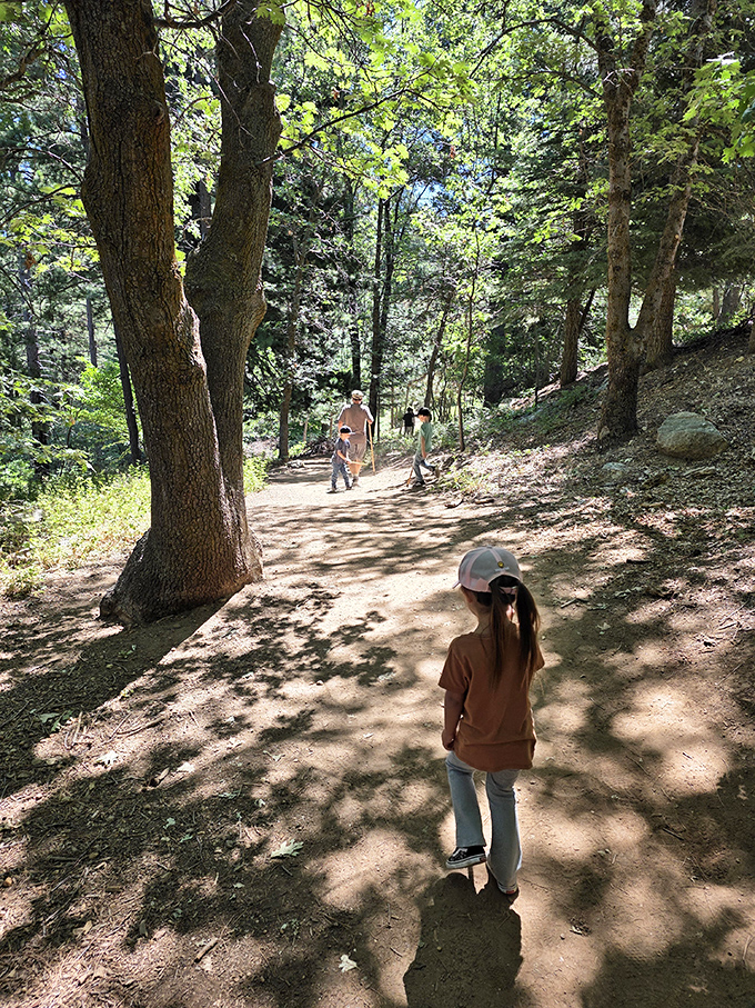 Dappled sunlight guides hikers through pine-scented trails, where the journey itself becomes the destination in Lake Arrowhead's surrounding forests.