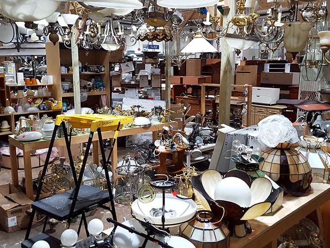 Chandelier heaven or light fixture purgatory? Either way, this dazzling collection could illuminate a mansion or add character to a studio apartment.