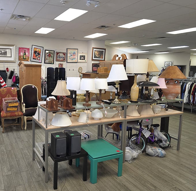 The lamp section glows with potential&mdash;one person's outdated fixture is another's "vintage-inspired" designer accent piece.