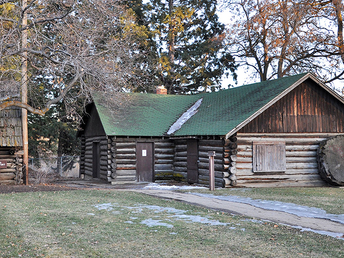 Pioneer spirit preserved in logs and timber. This historic cabin whispers stories of California before it became the land of $7 lattes.