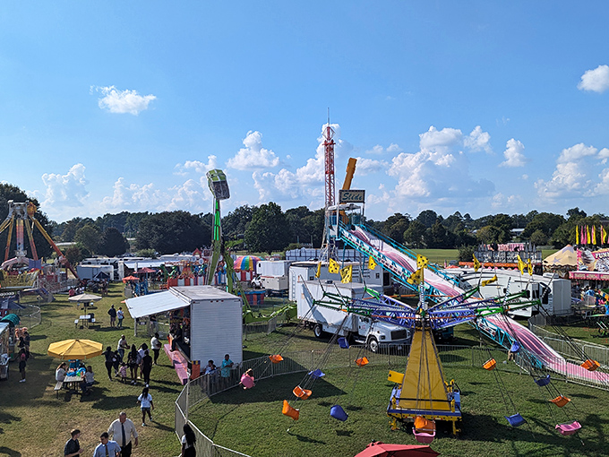 The county fair brings that perfect blend of thrilling rides and questionable dietary decisions that somehow make perfect sense in the moment.