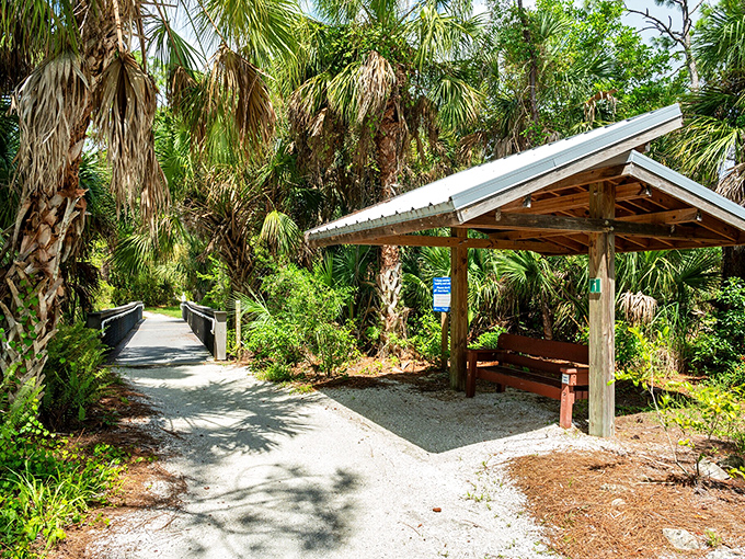 Nature trails wind through Lemon Bay Park where palm fronds create dappled shade and the only "notification" you'll get is from a curious ibis.