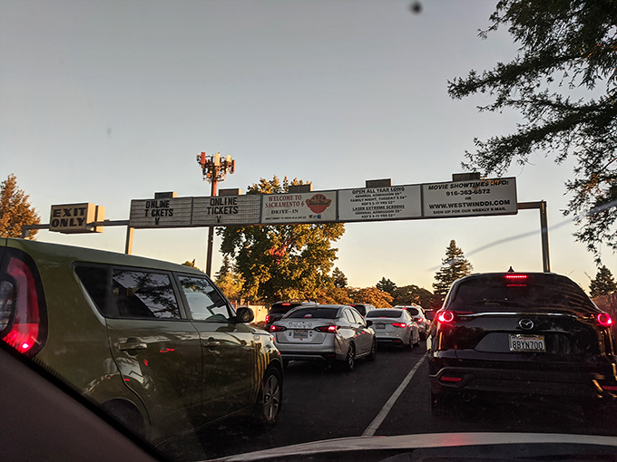 The anticipation builds as cars line up at dusk. That feeling of "What screen should we choose?" is part of the adventure.
