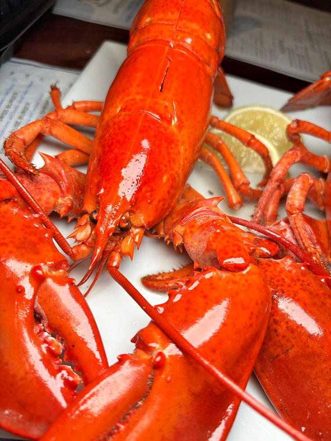 When a lobster arrives looking this majestic, you don't eat it&mdash;you pay homage to it before inevitably surrendering to its buttery charms.