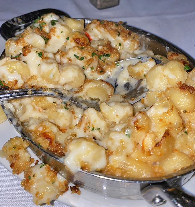 Mac and cheese that's had a glow-up worthy of a Hollywood makeover. Lobster chunks transform comfort food into a black-tie affair.