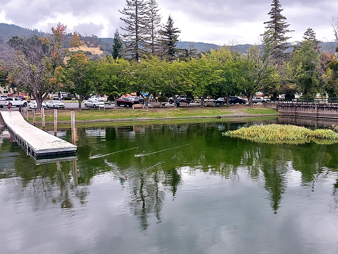 Lucerne Harbor Park offers a gathering place where locals debate important matters like which spot holds the biggest bass.