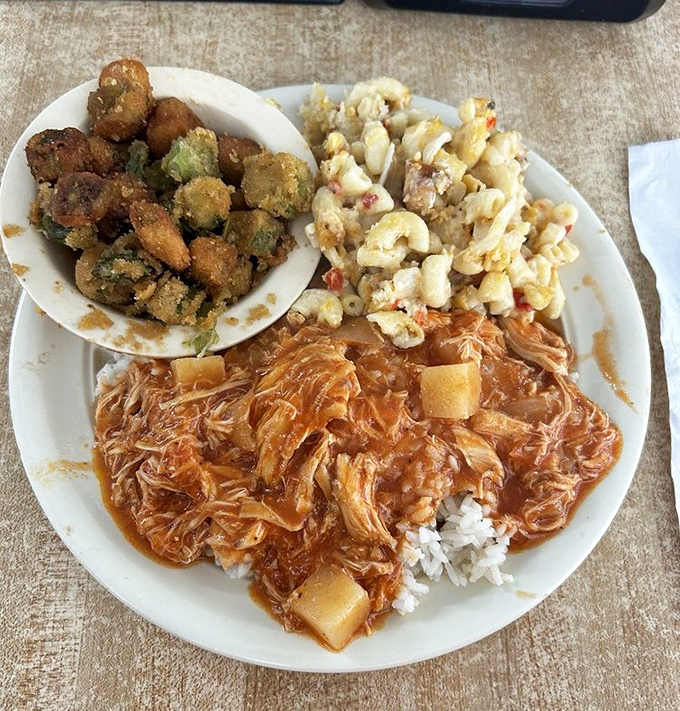 Southern cooking on full display: crispy okra, creamy mac and cheese, and chicken stew that tastes like someone's grandmother is in the kitchen.