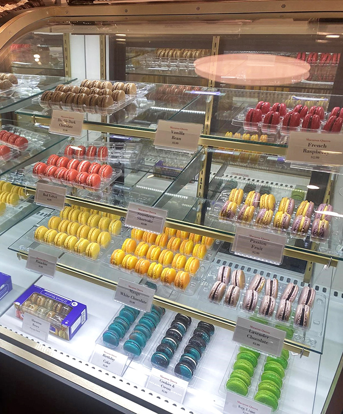 A rainbow regiment of macarons stands at attention, each colorful soldier ready to sacrifice itself for your moment of bliss.