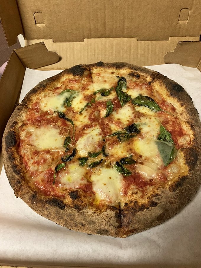 This Margherita pizza proves the eternal truth: simplicity executed perfectly is the highest form of culinary art.