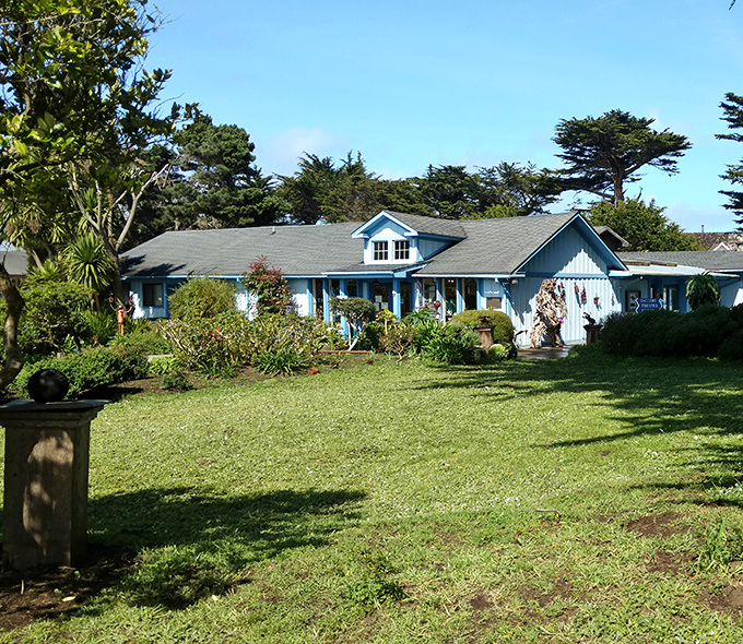 A blue cottage where creativity thrives against a backdrop of cypress trees. The Mendocino Art Center has been nurturing talent since before tie-dye was cool.