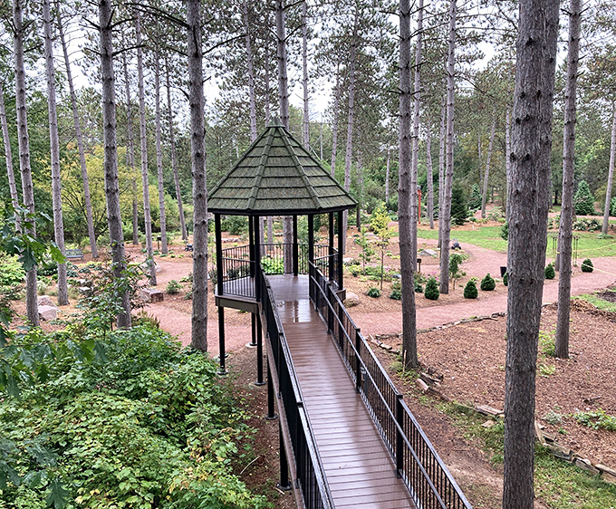 The elevated walkway at Monk Botanical Gardens lets you stroll among treetops without the hassle of climbing them first.