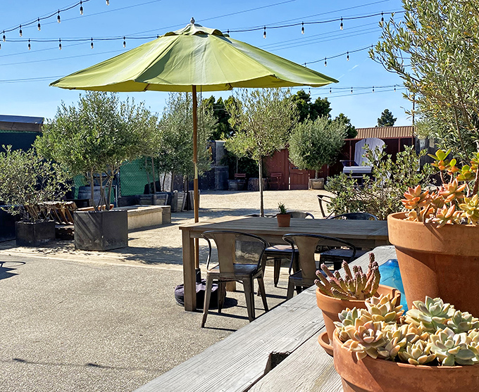 Outdoor seating surrounded by olive trees and succulents&mdash;because wine always tastes better with a side of California sunshine and gentle breezes.