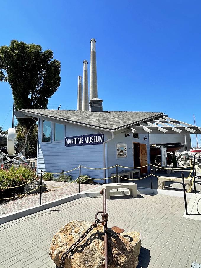 Maritime museums housed in buildings with more character than most Hollywood actors – and twice the authenticity.