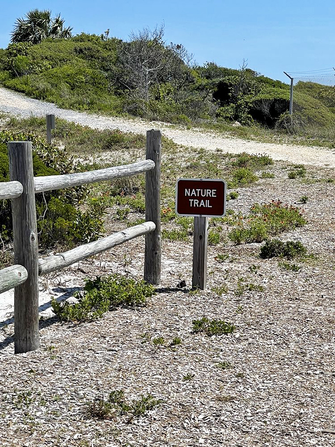 The nature trail sign marks the entrance to Florida's wild side&mdash;where the only notifications you'll receive are from chirping birds.