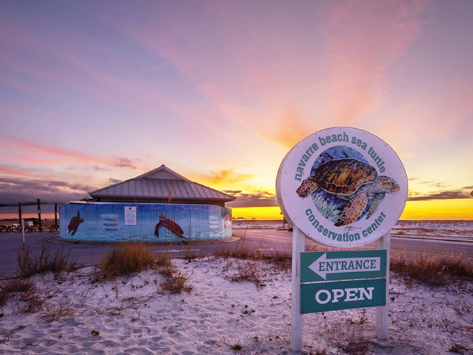 Conservation with a view: The Sea Turtle Conservation Center stands sentinel at sunset, protecting tomorrow's ocean while educating today's visitors.