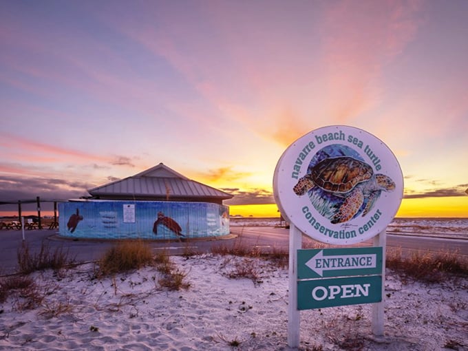Conservation with a view: The Sea Turtle Conservation Center stands sentinel at sunset, protecting tomorrow's ocean while educating today's visitors.
