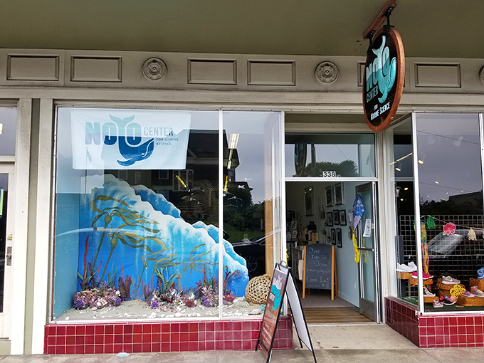 Where marine science meets wonder, and admission costs less than your morning latte habit.