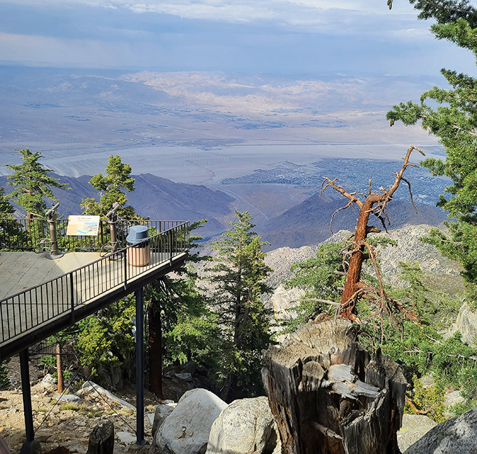 I can see my house from here! Well, maybe not, but this observation deck offers views clear to the Salton Sea on days when the smog takes a vacation.