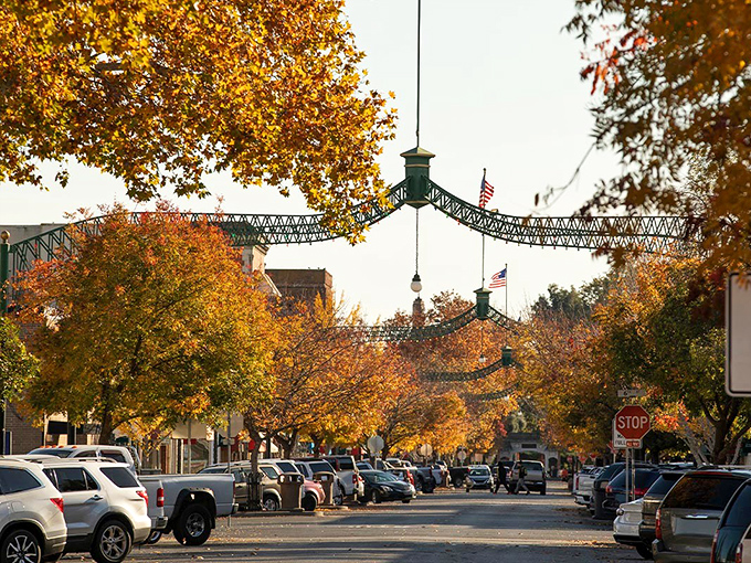 Those green arches aren't just street decorations; they're Marysville's way of saying "we've got style" without needing a fashion consultant.