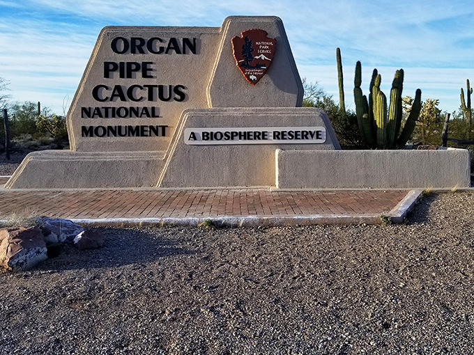 The entrance to Organ Pipe Cactus National Monument stands as a dusty sentinel, promising adventures where the cacti stand taller than your childhood basketball heroes.