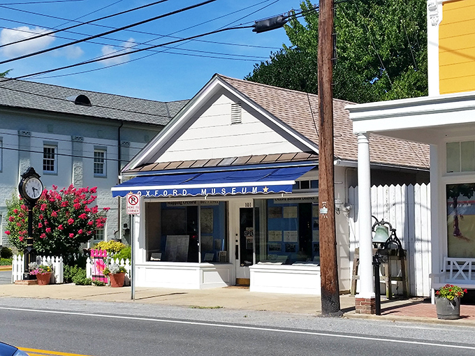 The Oxford Museum might look modest, but inside it's a time machine to the 1600s&mdash;minus the plague and questionable dental practices.