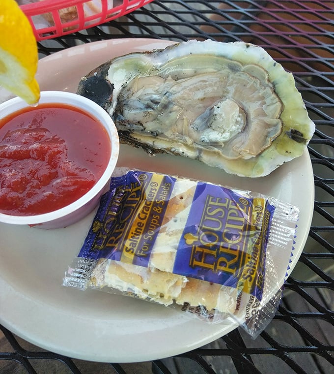This oyster isn't just served; it's presented &ndash; a briny delicacy waiting patiently beside its cocktail sauce companion.