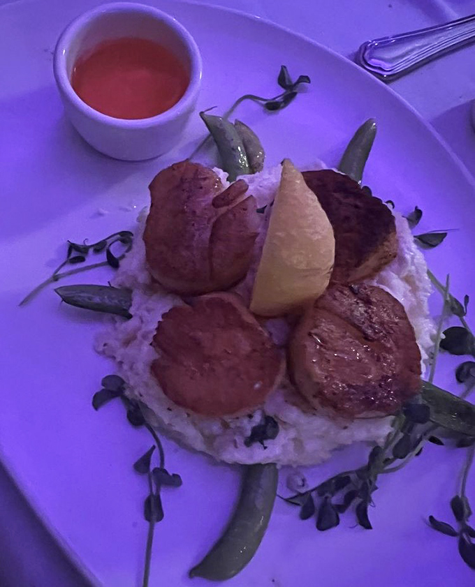 Scallops perched atop creamy risotto like royalty on a cloud. The sauce isn't just poured&mdash;it's been introduced with proper ceremony.