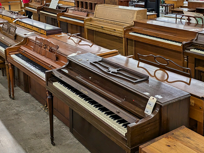 Piano paradise! These wooden beauties once filled homes with sonatas and "Heart and Soul" duets. Now they're waiting for new fingers to bring them back to life.