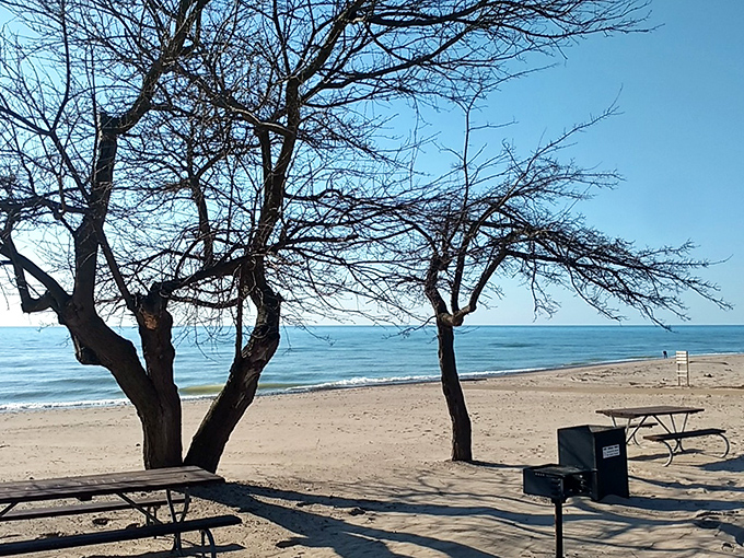 Picnic tables with a million-dollar view – where PB&J sandwiches somehow taste better than five-star restaurant fare.