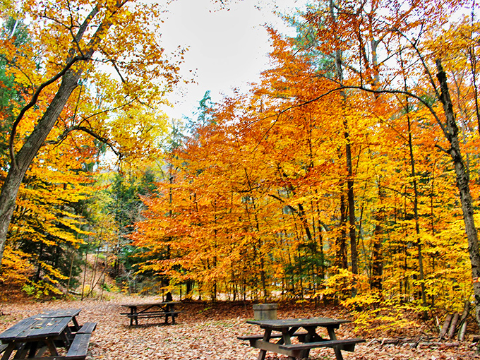 Fall's golden performance turns this picnic area into nature's five-star dining room. Reservations not required, but sweaters recommended! 