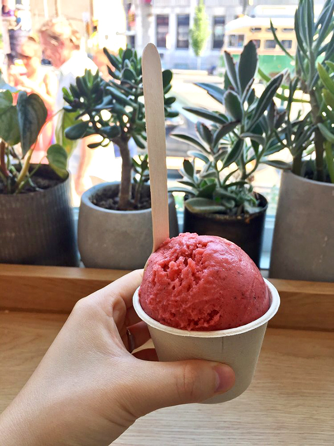 That vibrant raspberry scoop isn't just dessert&mdash;it's summer captured in a cup, surrounded by Philadelphia's urban jungle of potted plants.