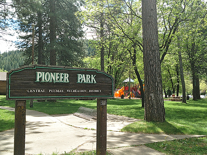 Pioneer Park delivers exactly what childhood ordered: towering pines, green space, and playground equipment without a waiting line or admission fee.